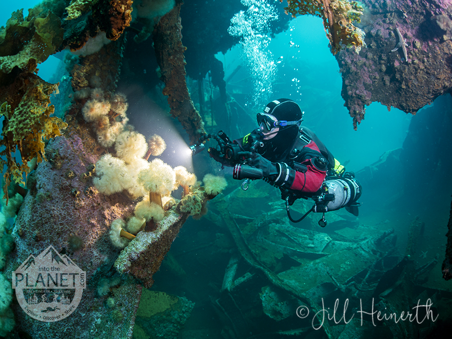 Return to Bell Island | IntoThePlanet